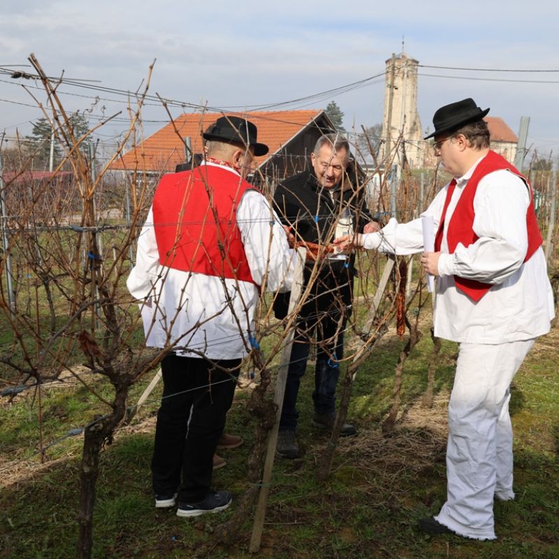 ..Dugoselska kronika.. - Trideseto Vincekovo na Martin Bregu – slavlje ...