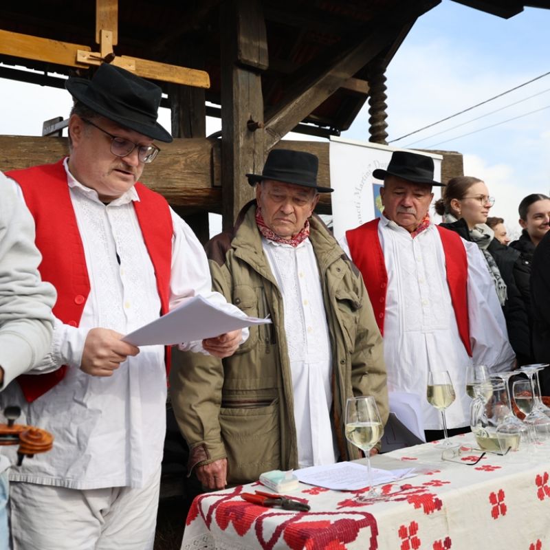 ..Dugoselska kronika.. - Trideseto Vincekovo na Martin Bregu – slavlje ...