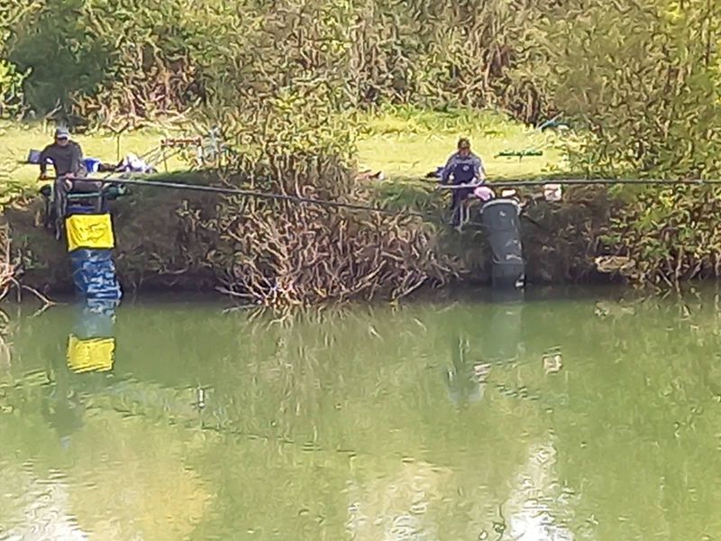 ..Dugoselska kronika.. - Održano ribičko natjecanje ŠRD-a Dugo Selo ...
